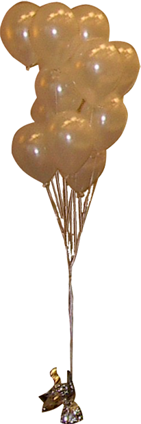 -Dozen Helium Balloons – GetaBalloon.com